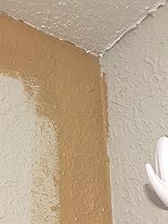 Amazon.com: HOME RIGHT Quick Painter C800771 Painting Edge Painter ...