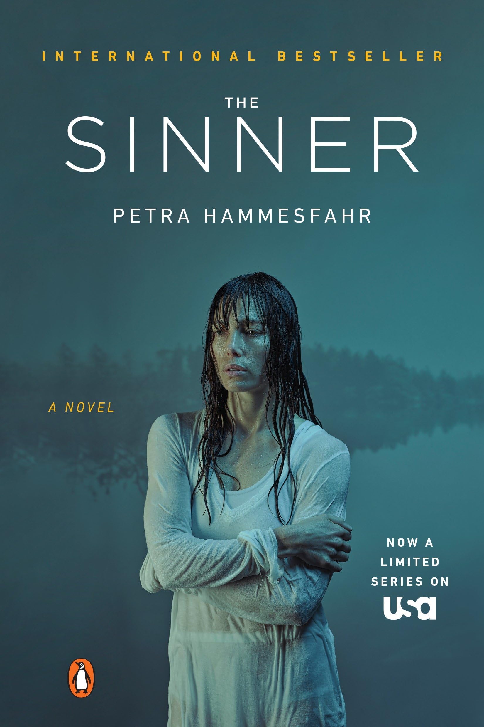 Amazon.com: The Sinner (TV Tie-In): A Novel: 9780143132851: Hammesfahr ...