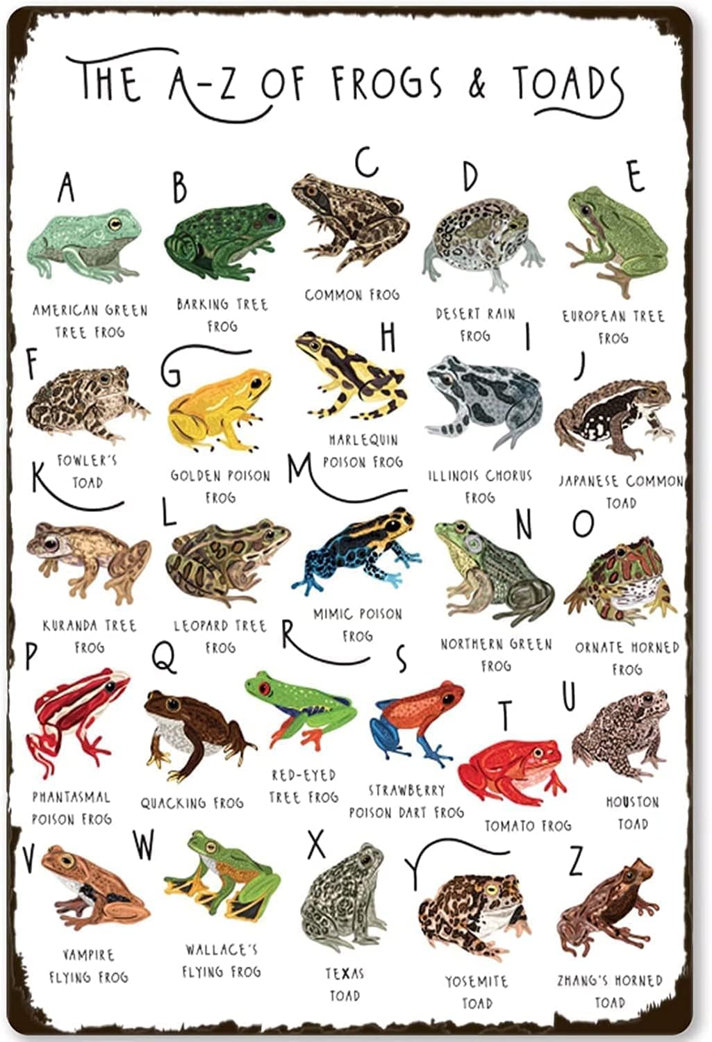 Amazon.com: The Type of Frog Metal Sign Wall Decor The A-Z of Frogs ...