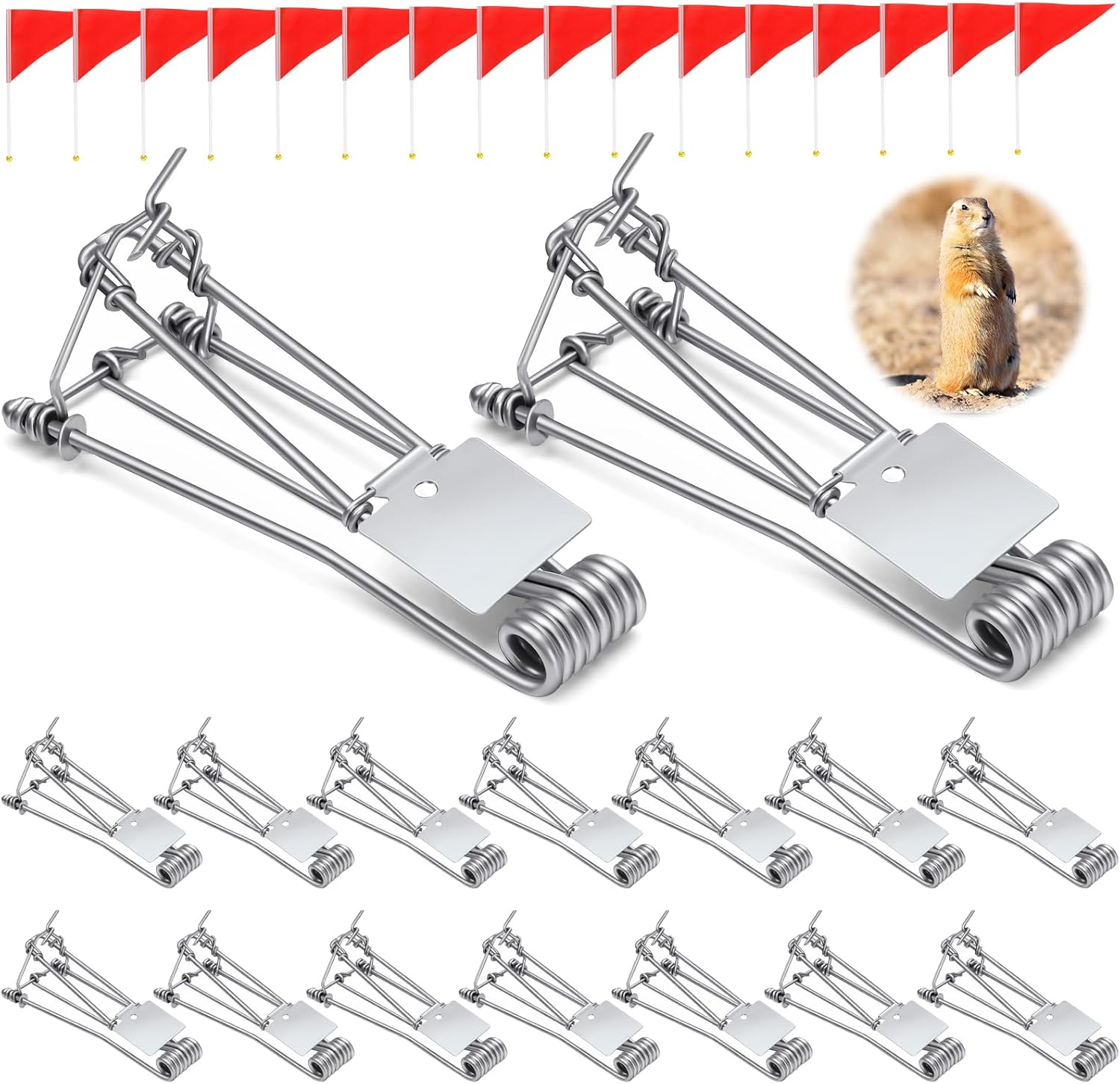 Amazon.com : Qualirey 32 Pcs Mole Traps with Red Stick Flags Galvanized ...