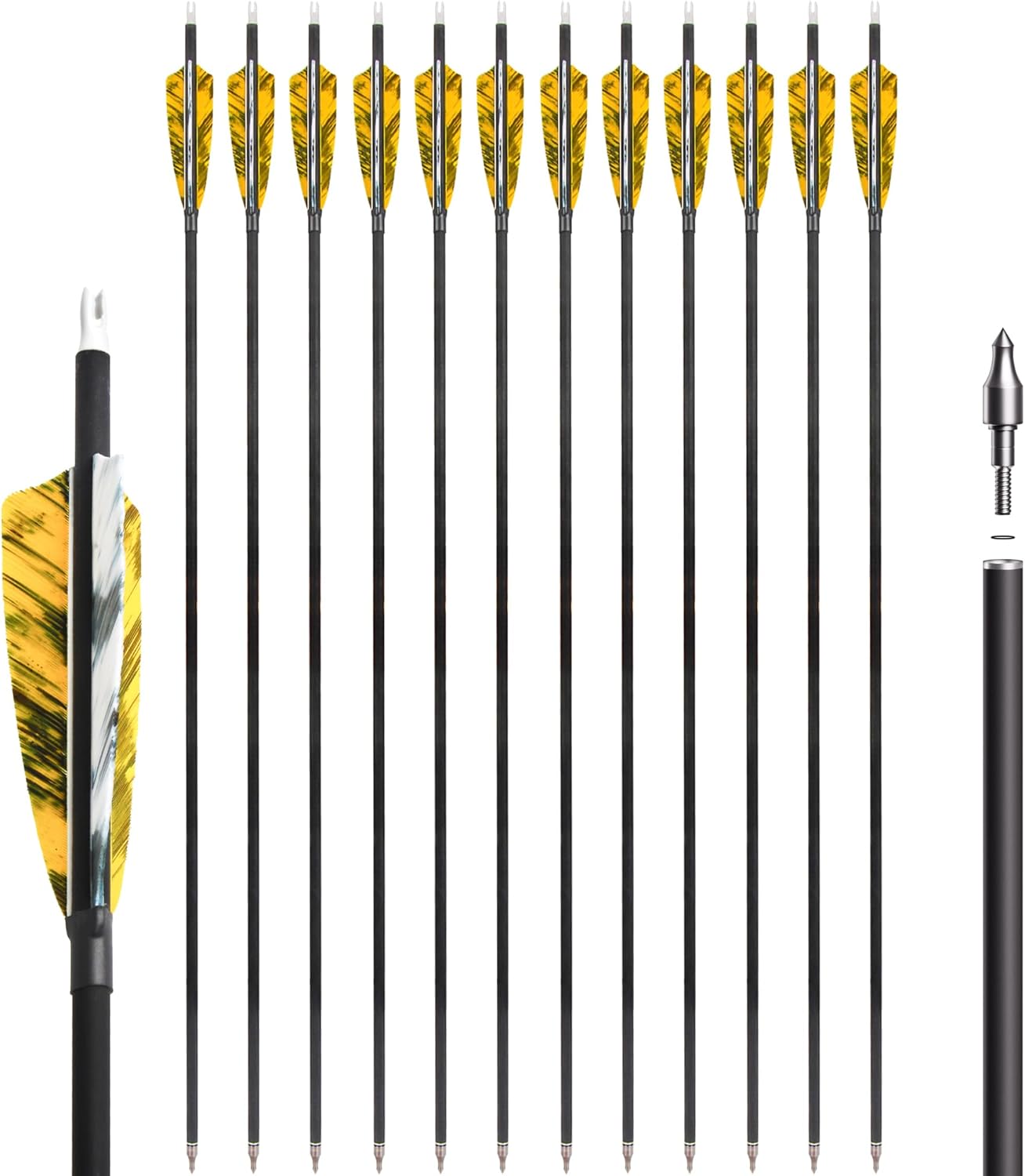 NorthSpoor 12 Pack 31-Inch Mixed Carbon Arrows with Removable Tips ...
