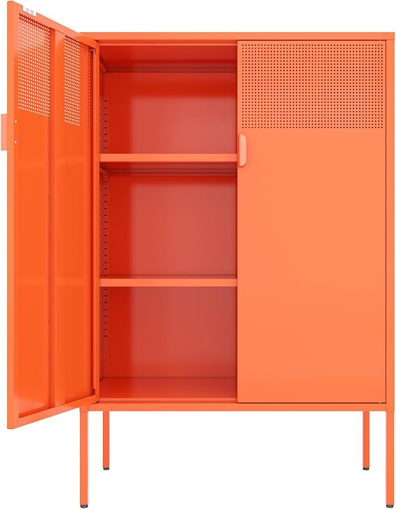 Amazon.com: Washsemba Metal Storage Cabinet with Mesh Doors ...