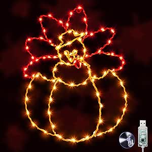 Amazon.com: Large Thanksgiving Turkey Pumpkin Window Lights Decorations ...