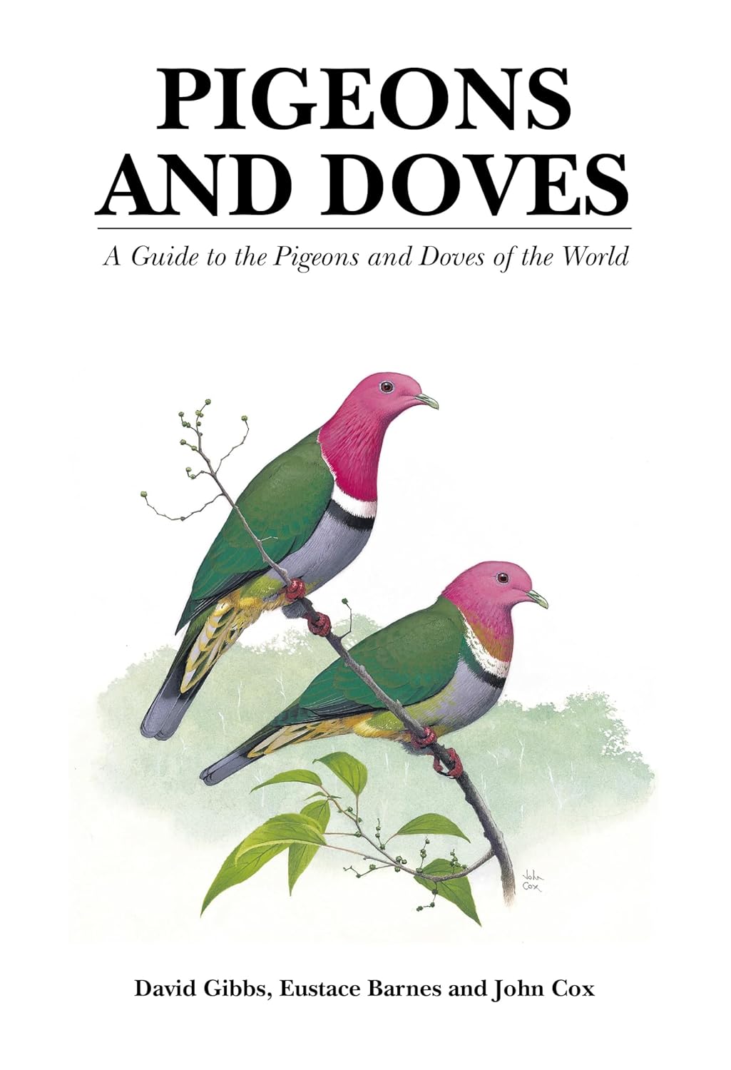 Pigeons and Doves: A Guide to the Pigeons and Doves of the World eBook ...