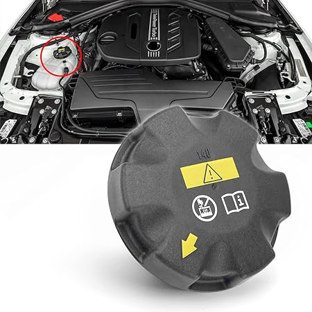 Amazon.com: Radiator Expansion Tank Cap,Coolant Reservoir Cap Cover For ...