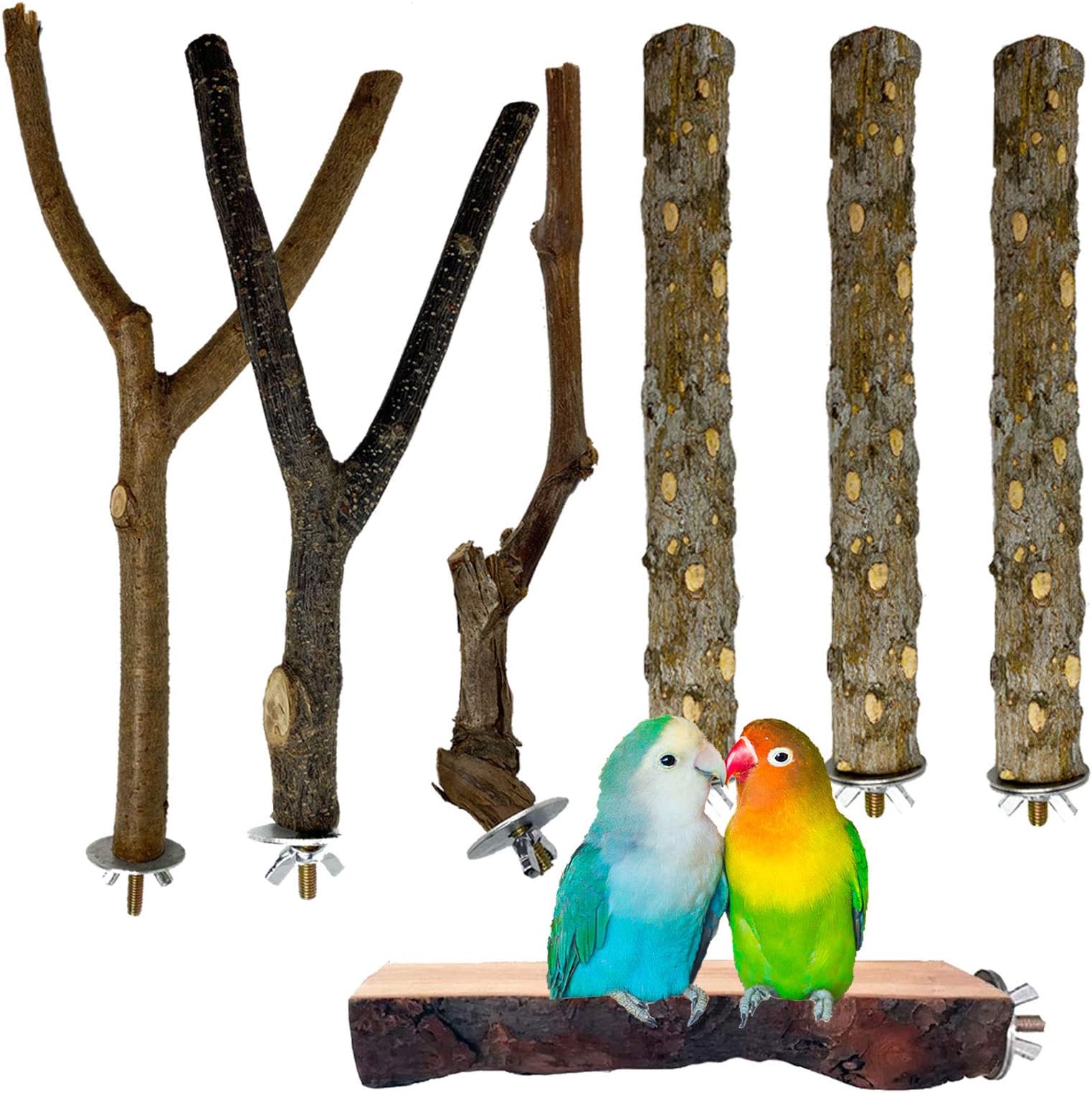 Amazon.com : kathson Natural Wood Bird Perch Parakeet Stand Platform ...