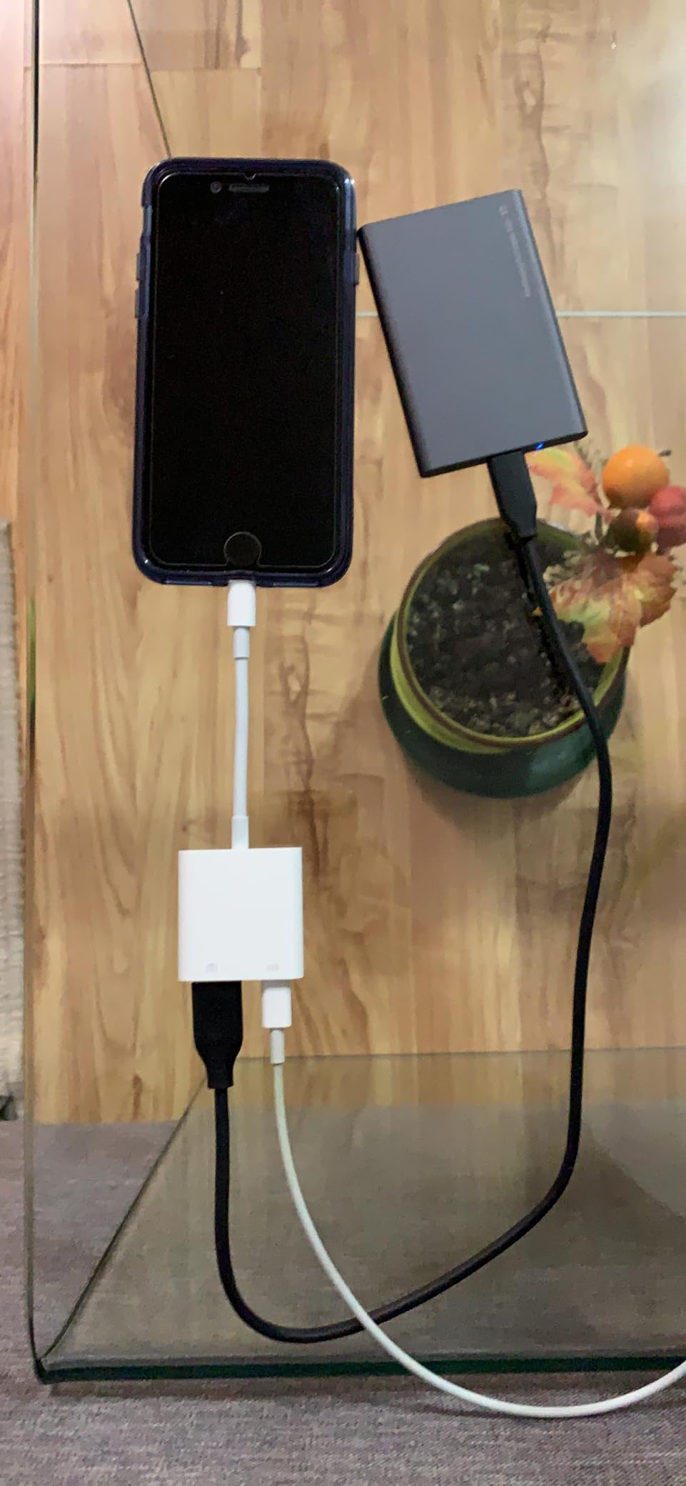 Apple Lightning to USB 3 Camera Adapter : Amazon.ca: Electronics