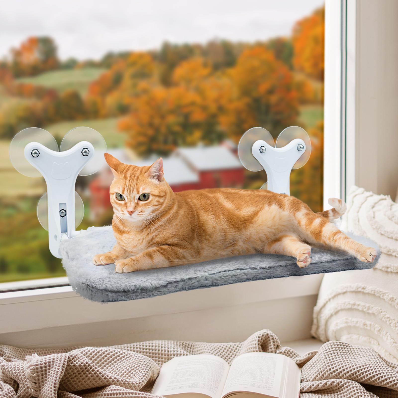 Amazon.com : Hiwhy Cat Window Perch with 6 Strong Suction Cups, Cat ...