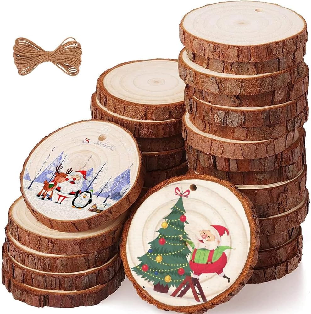 50 Pcs Natural Wood Slices 6-7cm Unfinished Predrilled Log Discs Wooden ...