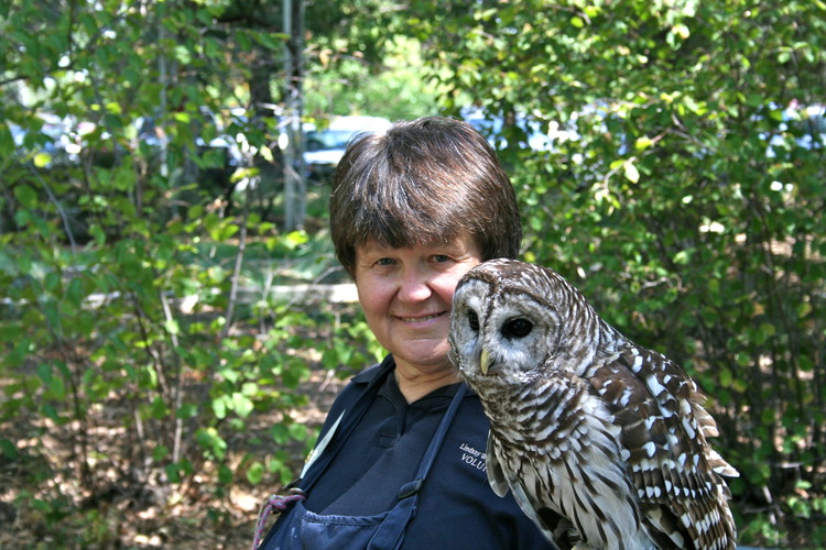 Amazon.com: Diane Lang: books, biography, latest update