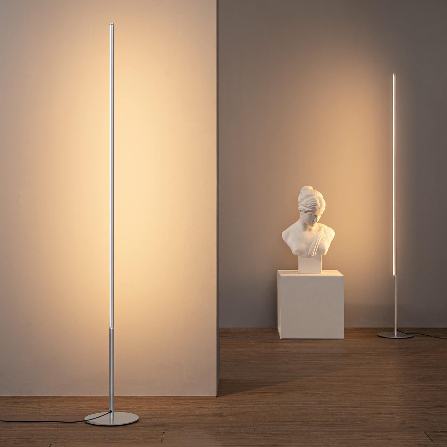 EDISHINE 2 Pack Modern LED Floor Lamp, 57.5" Minimalist Dimmable ...