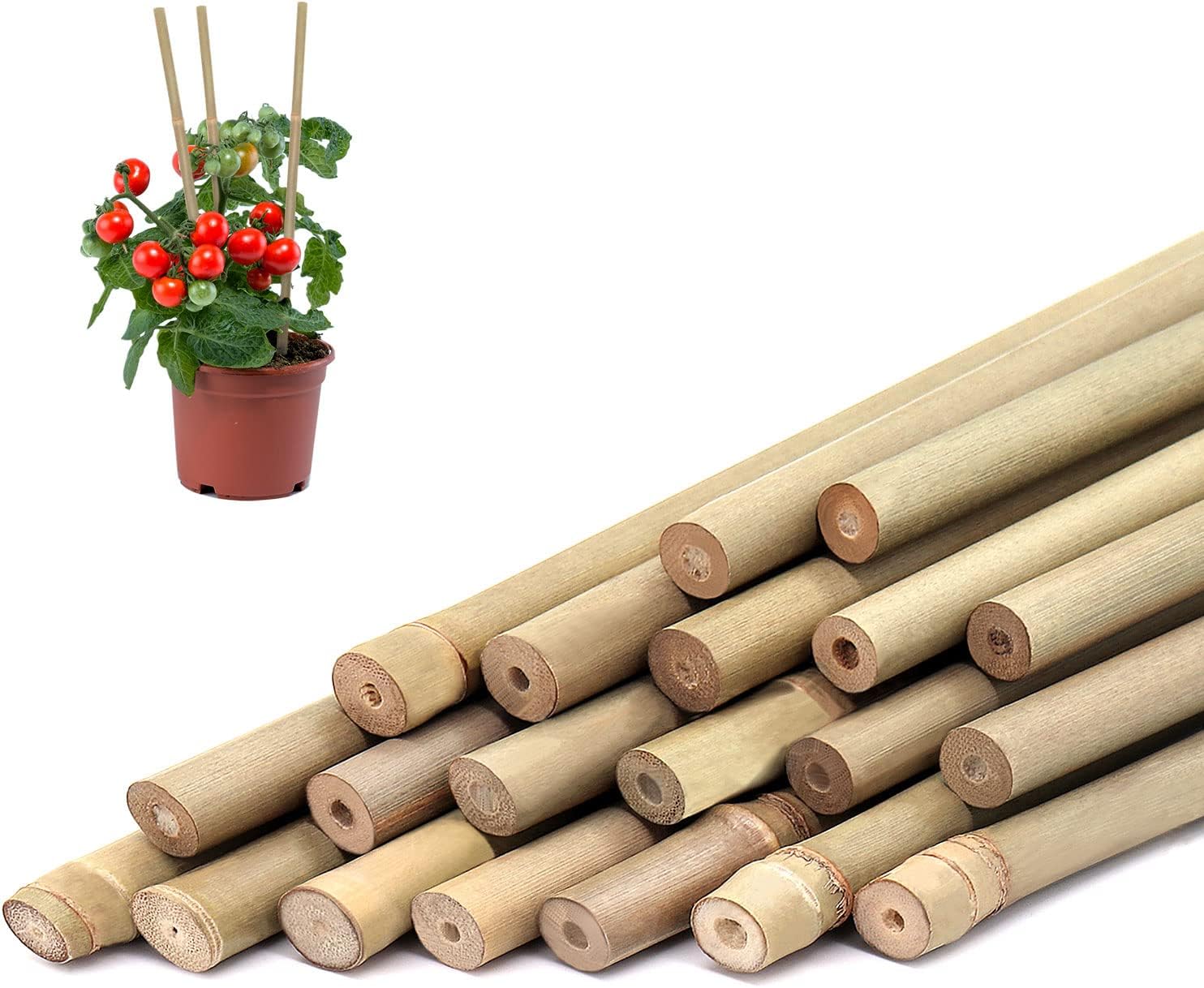 Amazon.com : Jollybower 20pcs 5/8" D Thicker Heavy Duty Bamboo Stakes ...