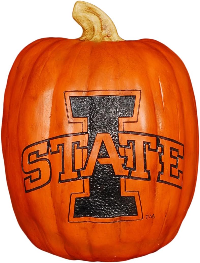 Amazon.com: Cumberland Designs Iowa State Resin Pumpkin Decor, Large