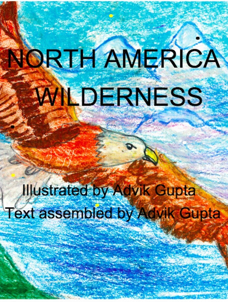 North America Wilderness , Gupta, Advik, Gupta, Advik - Amazon.com