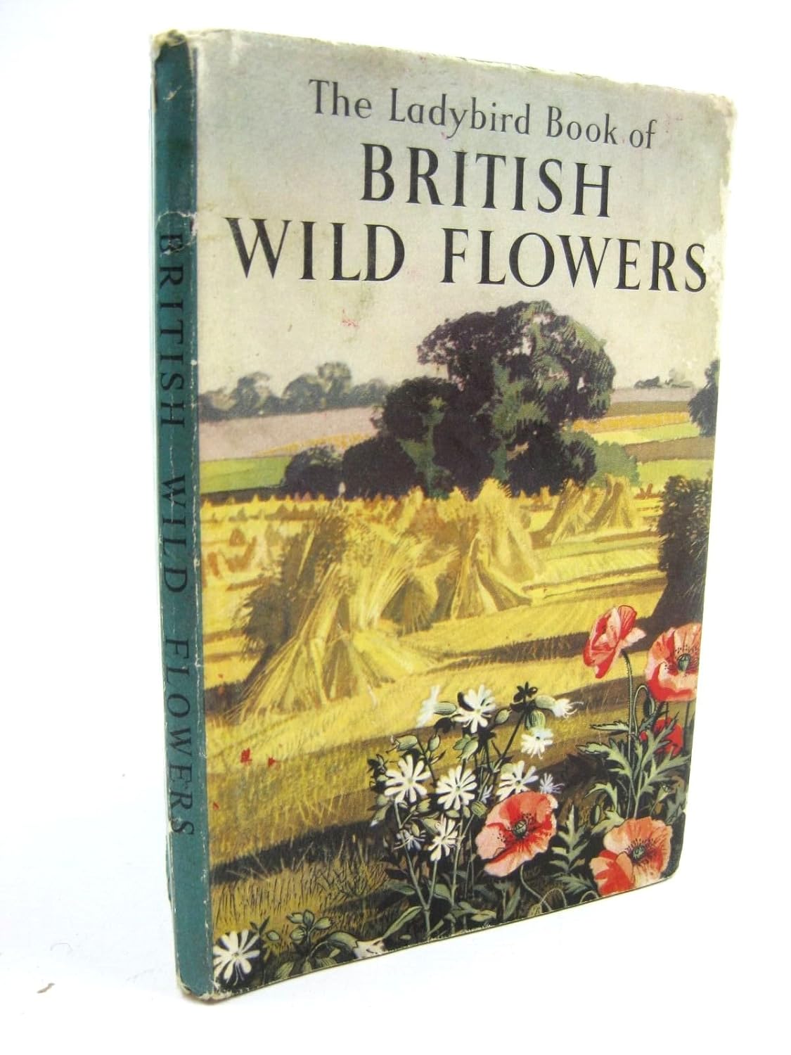 THE LADYBIRD BOOK OF BRITISH WILD FLOWERS: Amazon.co.uk: Vesey ...
