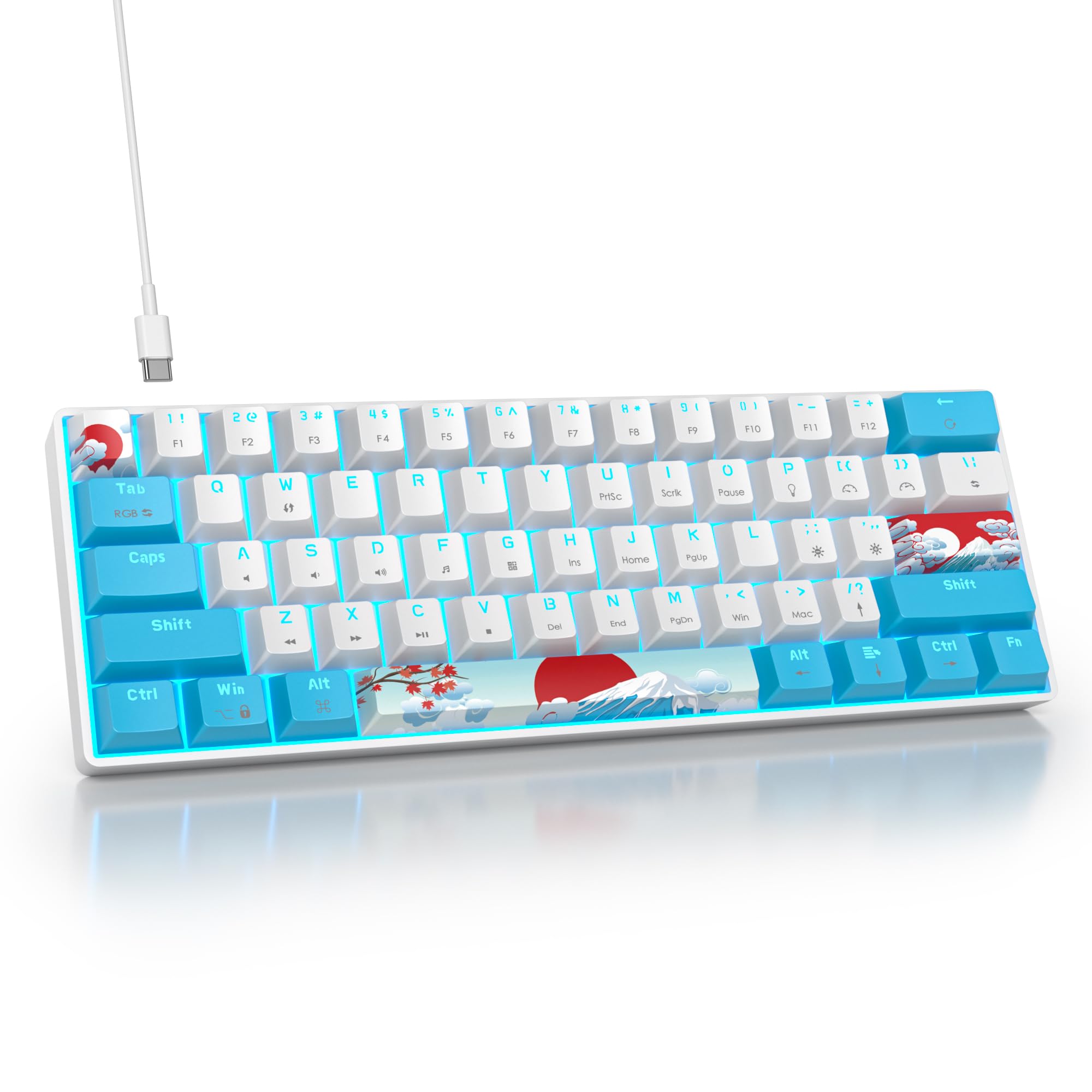 Amazon.com: SbocKeeb 60% Mechanical Keyboard Blue and White, Compact 60 ...