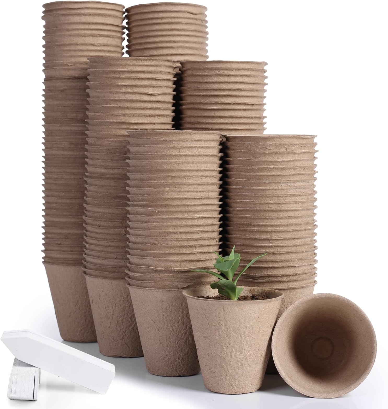 Amazon.com: Nuogo 240 Pcs Peat Pots Starters Kit for Seedling 3.15 Inch ...