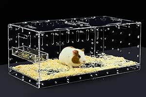 GuineaLoft™ Acrylic Cage (Model-P) - Clear Cage for Hamsters, DIY ...