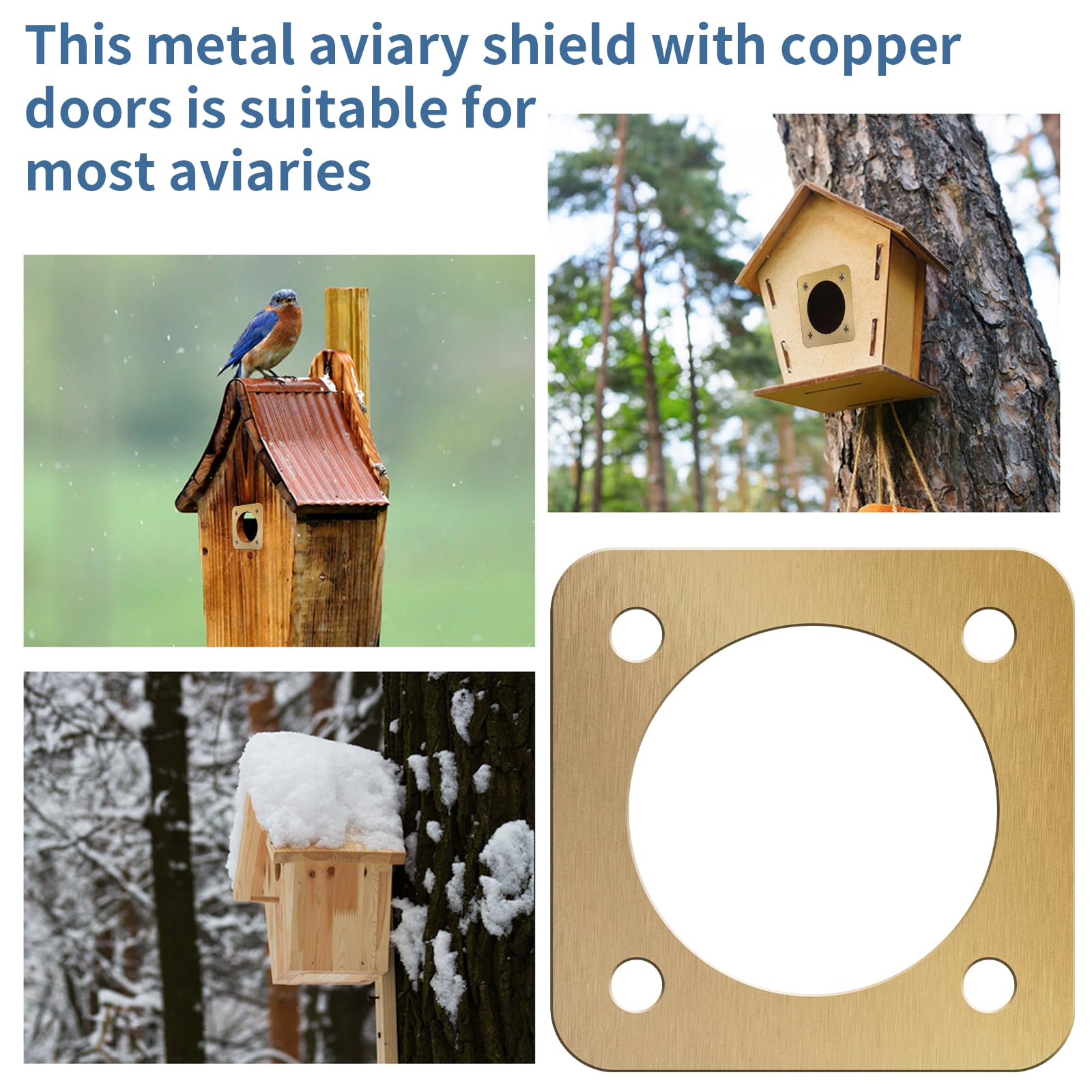 Bird House Portal Protector Ultimate Bluebird House With Portal