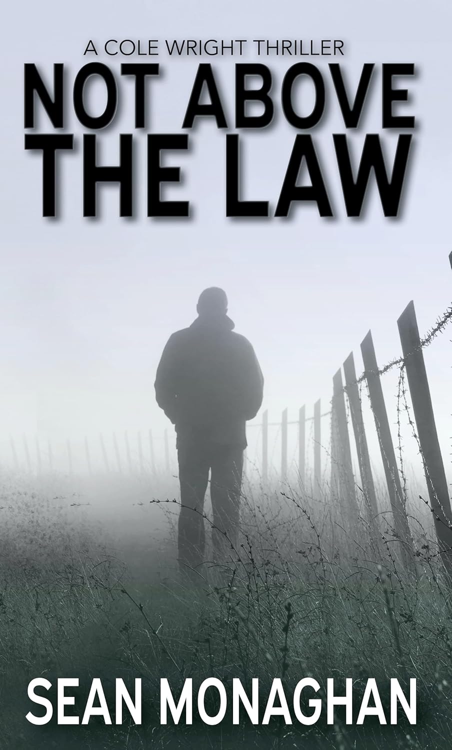 Amazon.com: Not Above The Law (Cole Wright Thrillers) eBook : Monaghan, Sean: Books