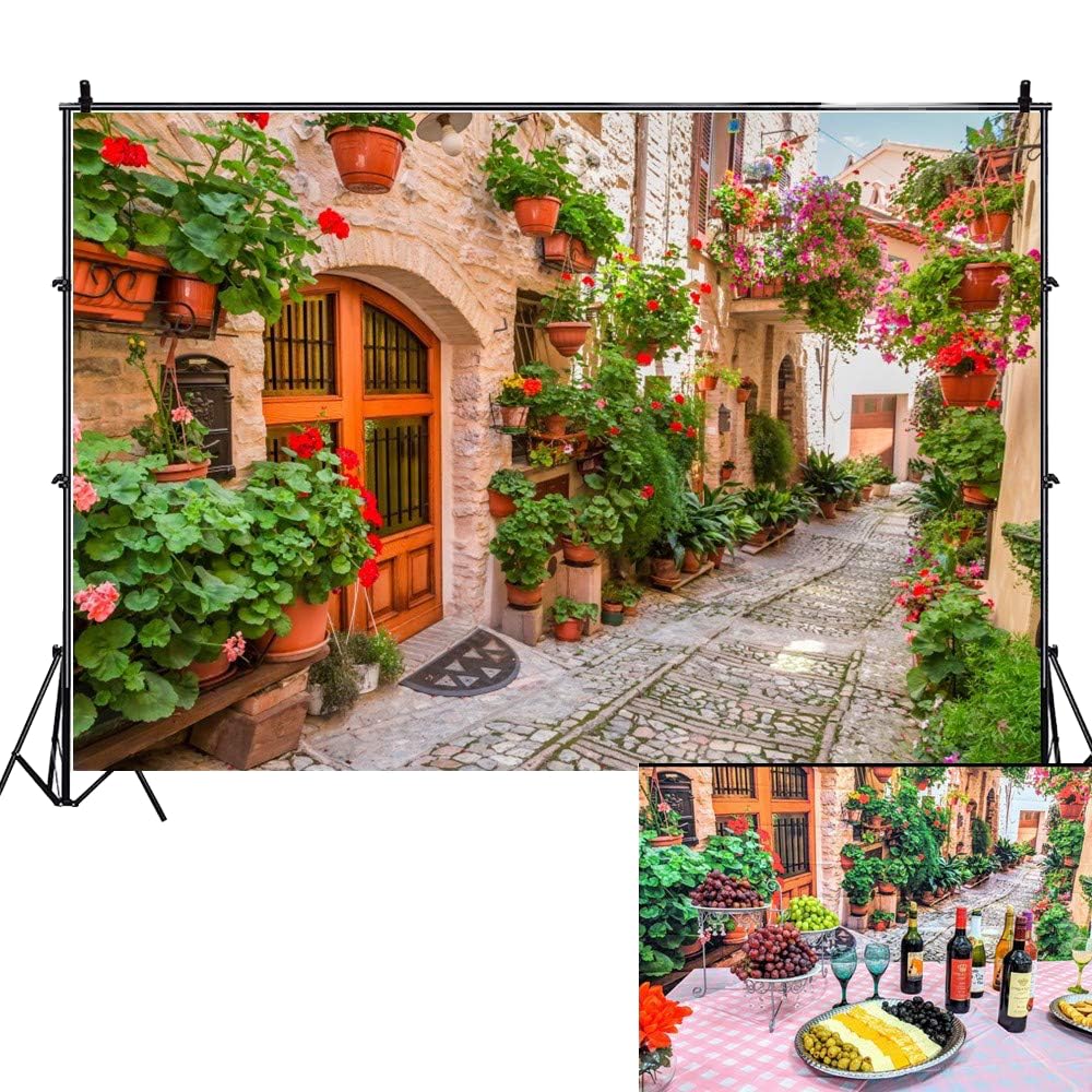 Italy Old Street Backdrop 10x6 5ft Flowers Towns In Italy | Desertcart ...