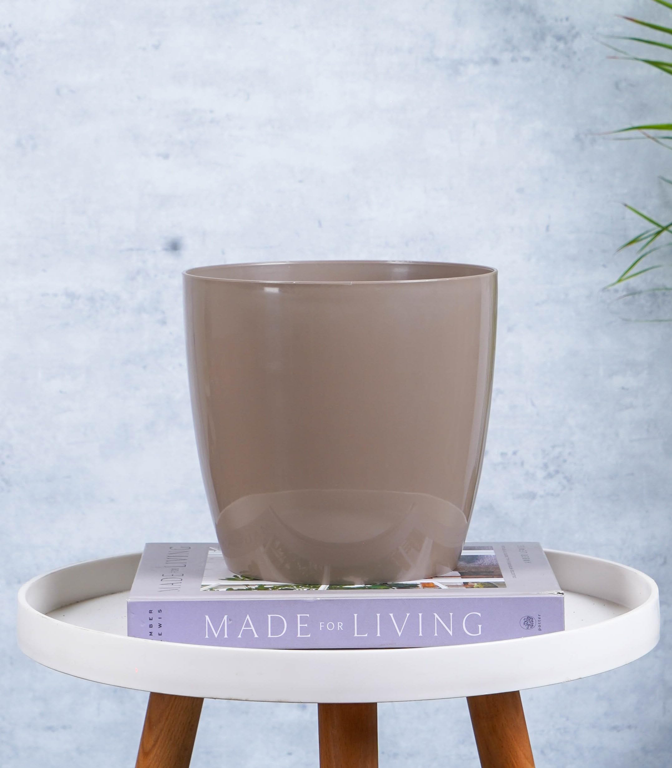 Nurturing Green® Combo of 1 Mocha Glossy 'Bare' Plastic Pots for Indoor ...