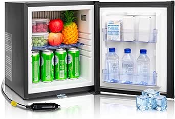 Amazon.com: Techomey Compact Semi Truck Refrigerator 1.0 Cu.Ft, AC/DC ...