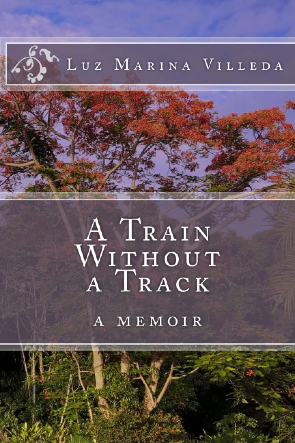 Amazon.com: A Train Without a Track: a Memoir: 9781726431859: Villeda ...