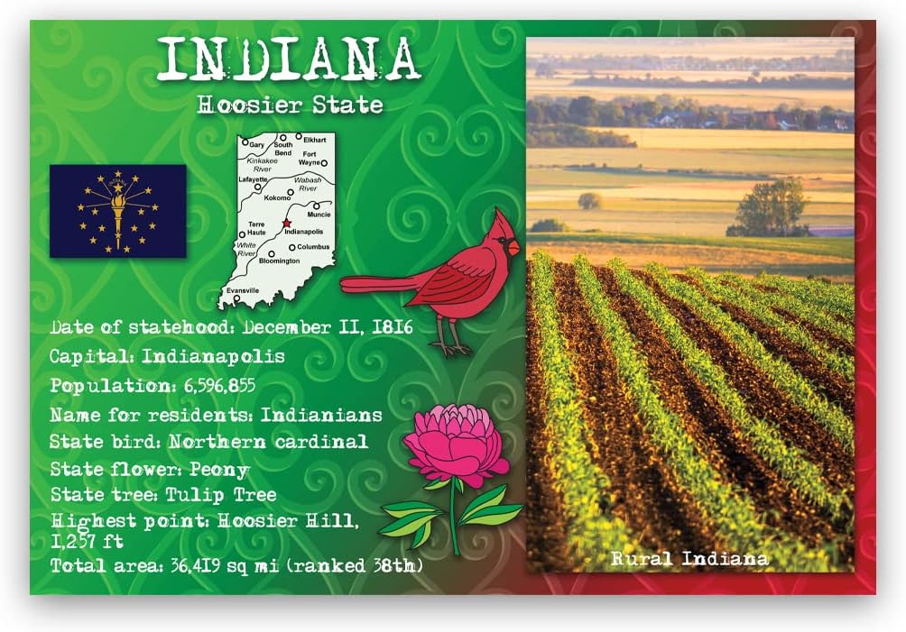 Amazon.com : INDIANA STATE FACTS postcard set of 20 identical postcards ...