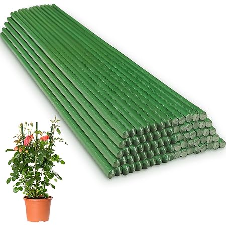 Amazon.com : Tatuo 60 Pcs 4ft/48inch Garden Stakes Plants Tomato Stakes ...