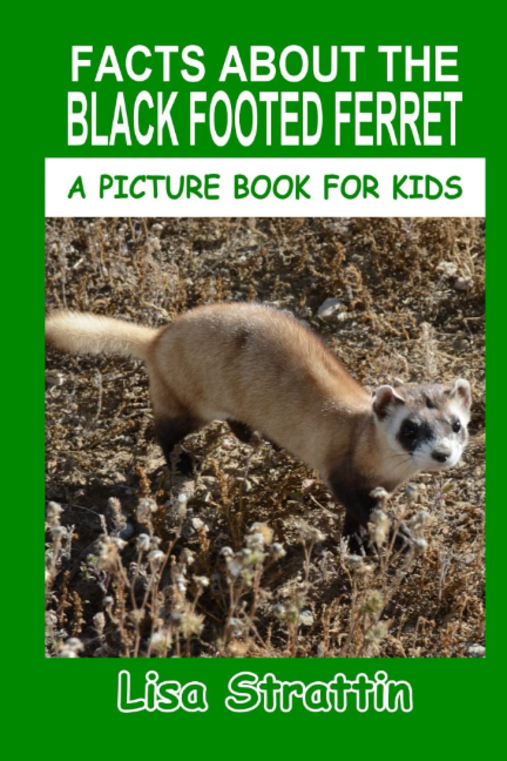Facts About The Black Footed Ferret (A Picture Book For Kids): Strattin ...