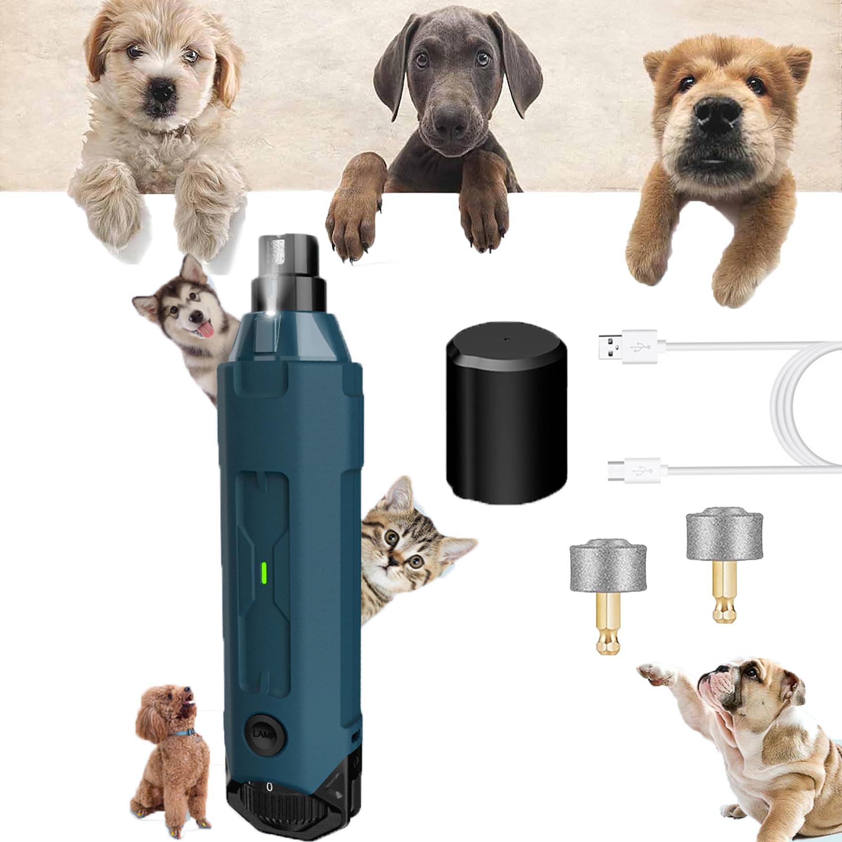 Amazon.com : Pet Chisel Pro - 2024 Safest Pet Chisel Pro Bundle, 6 ...