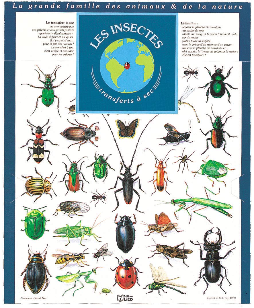 Amazon.fr - LES INSECTES - Livres