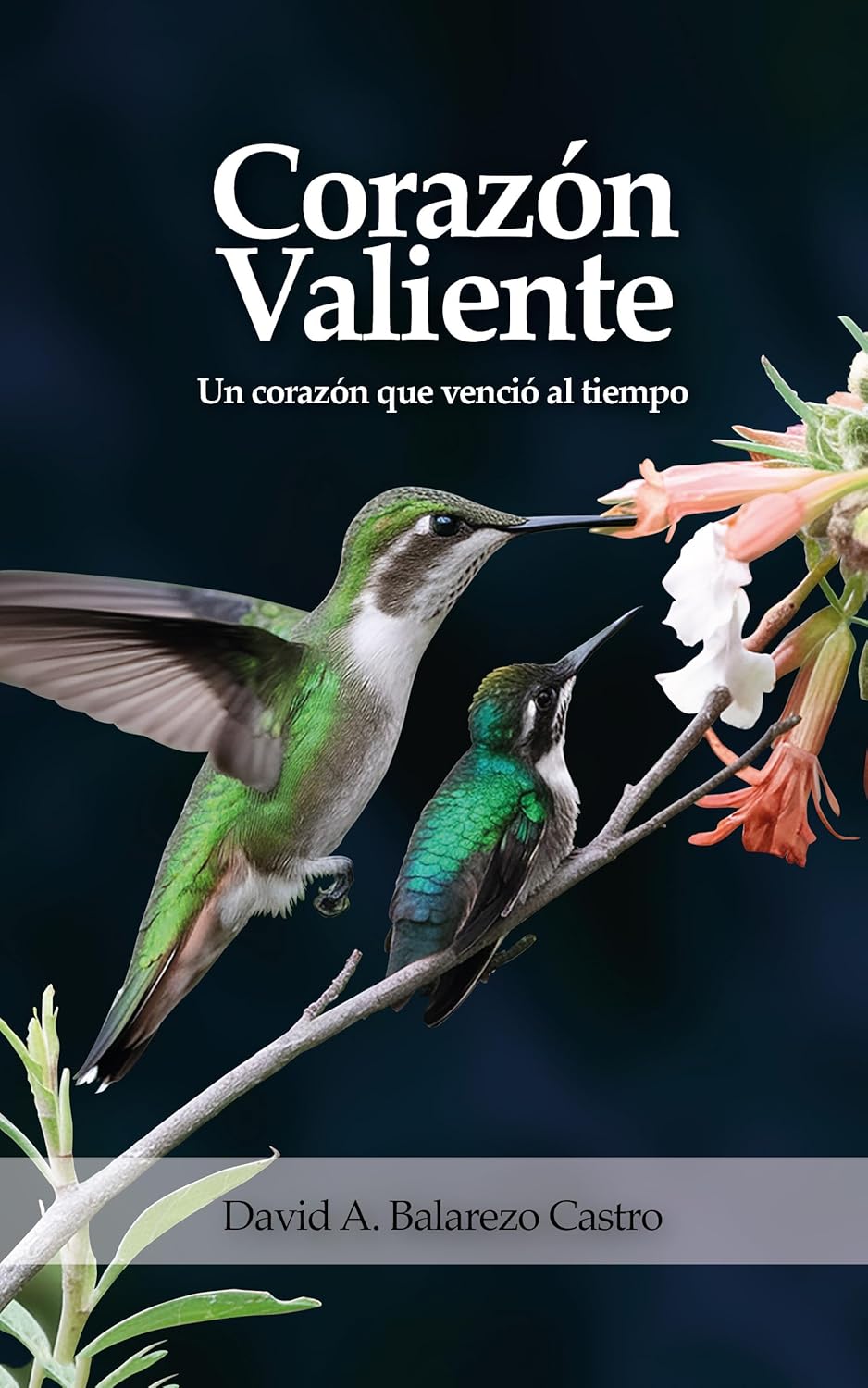 Amazon.com: Corazón Valiente: Un corazón que venció al tiempo (Spanish Edition) eBook : Balarezo ...