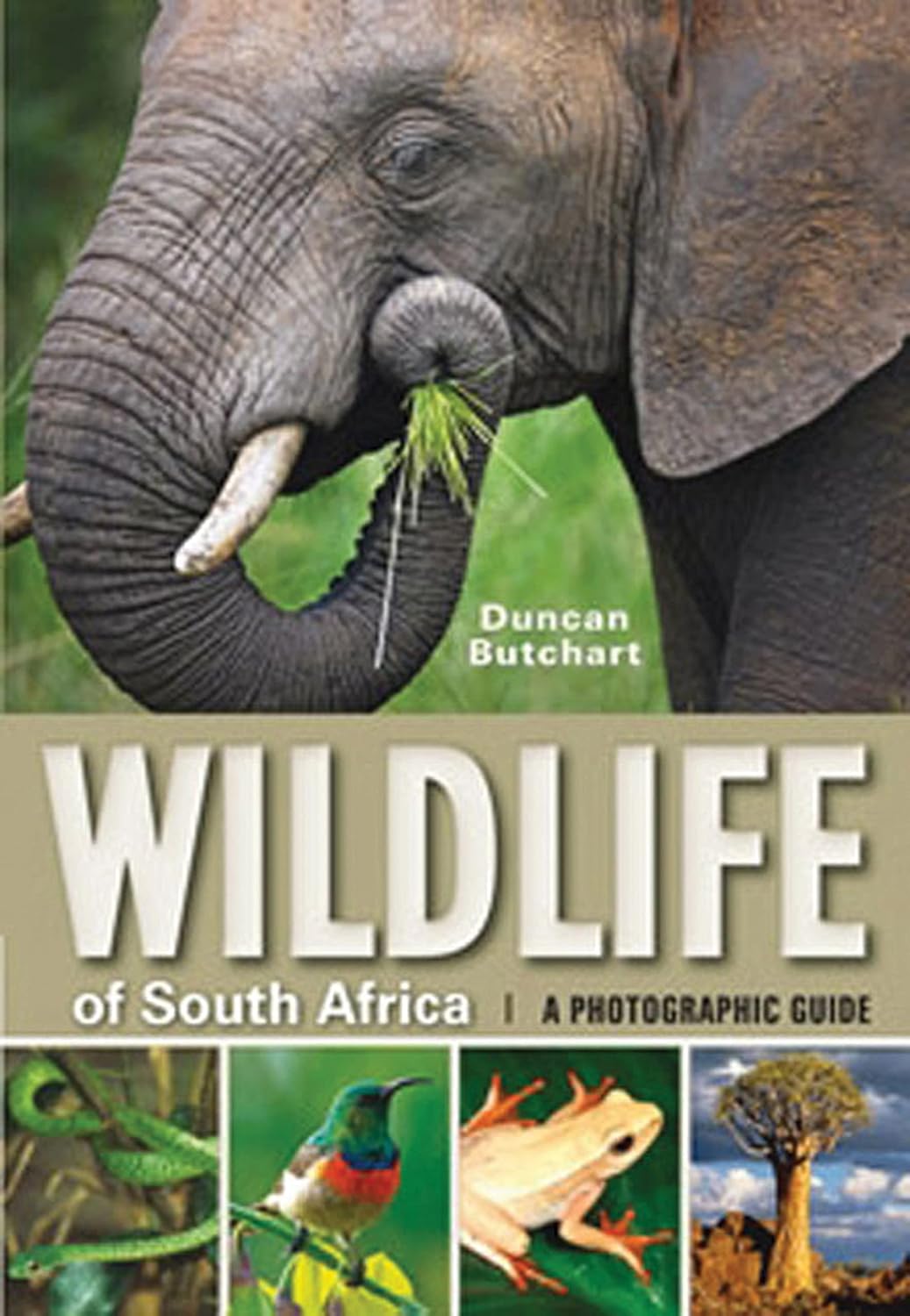 Wildlife of South Africa: A Photographic Guide : Butchart, Duncan ...