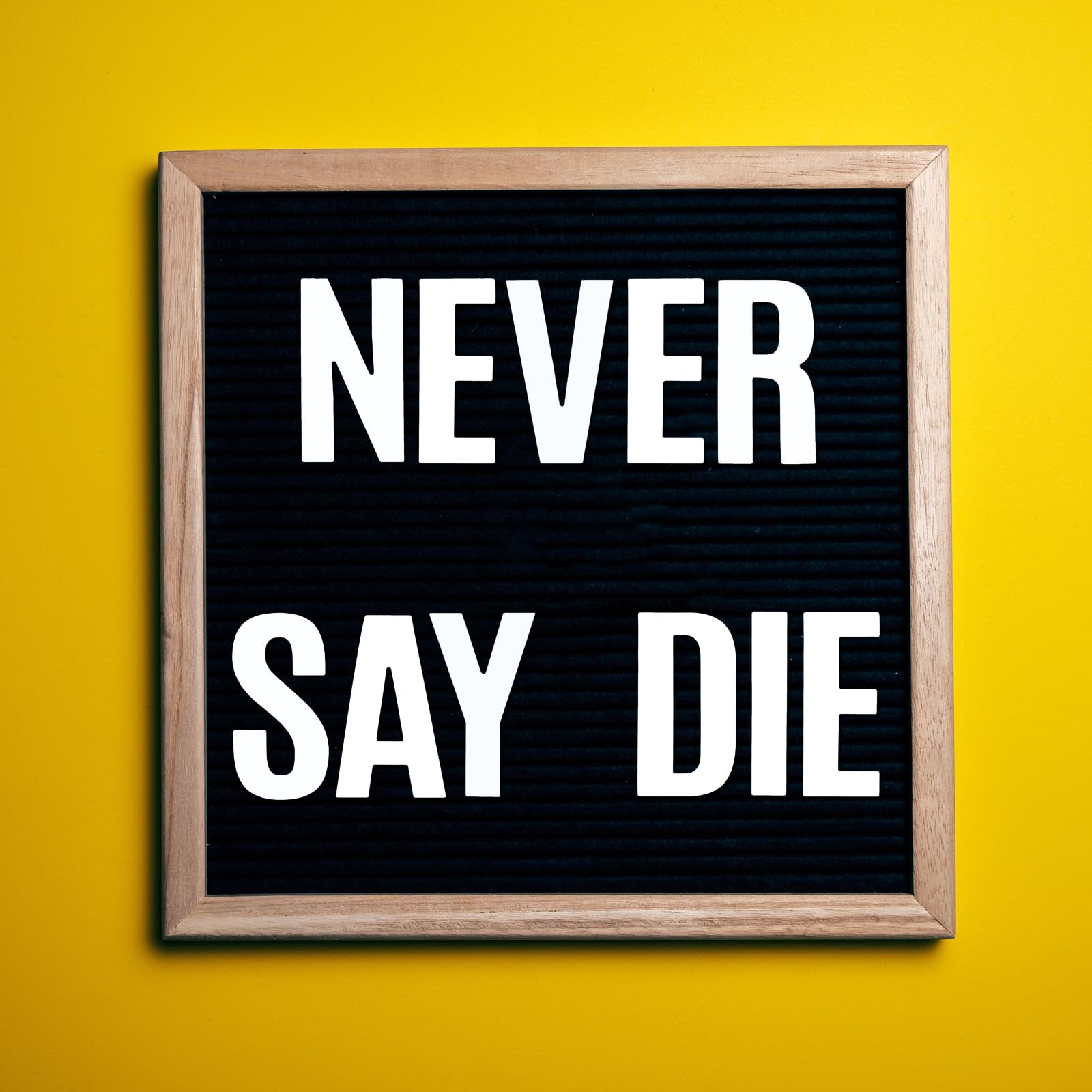 Snapklik.com : Bemeol 340 Pieces 30 Sheets Large Letter Stickers 4 Inch ...