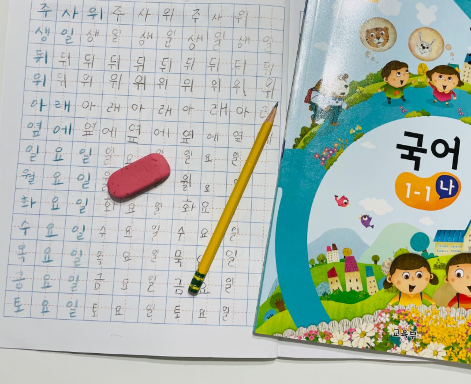 Korean Writing Notebook 10칸 한글공책: Colored interior, 100 pages With ...