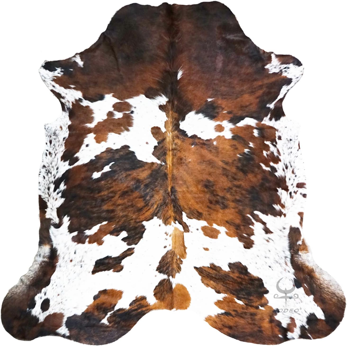 To view this video download Flash Player