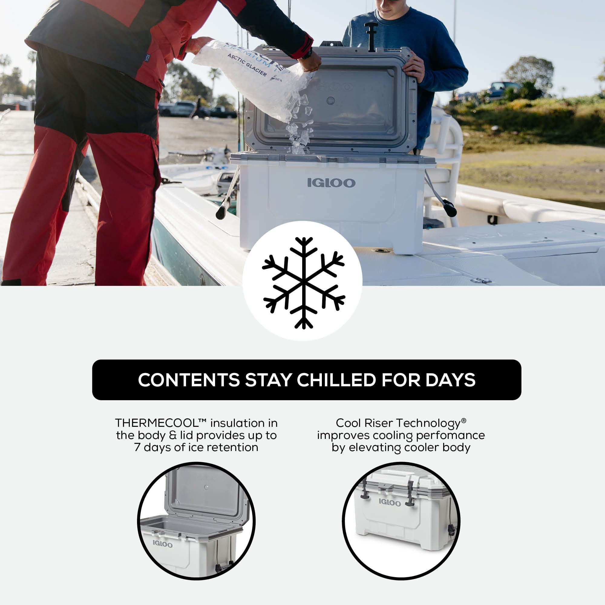 Igloo White IMX 70 Qt Lockable Insulated Ice Chest Injection Molded ...