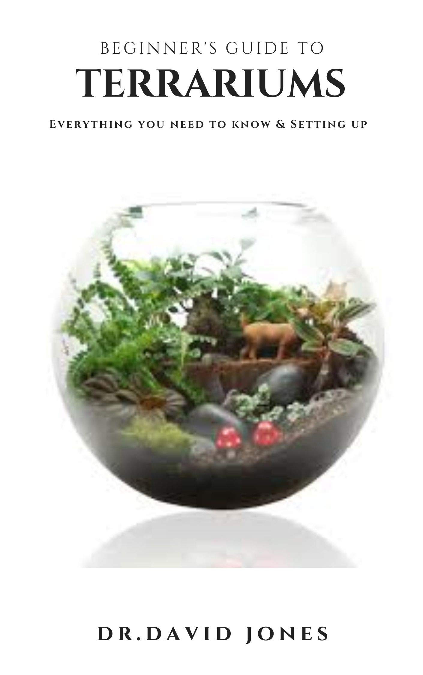 Terrarium Beginner Guide at Kelly Carson blog