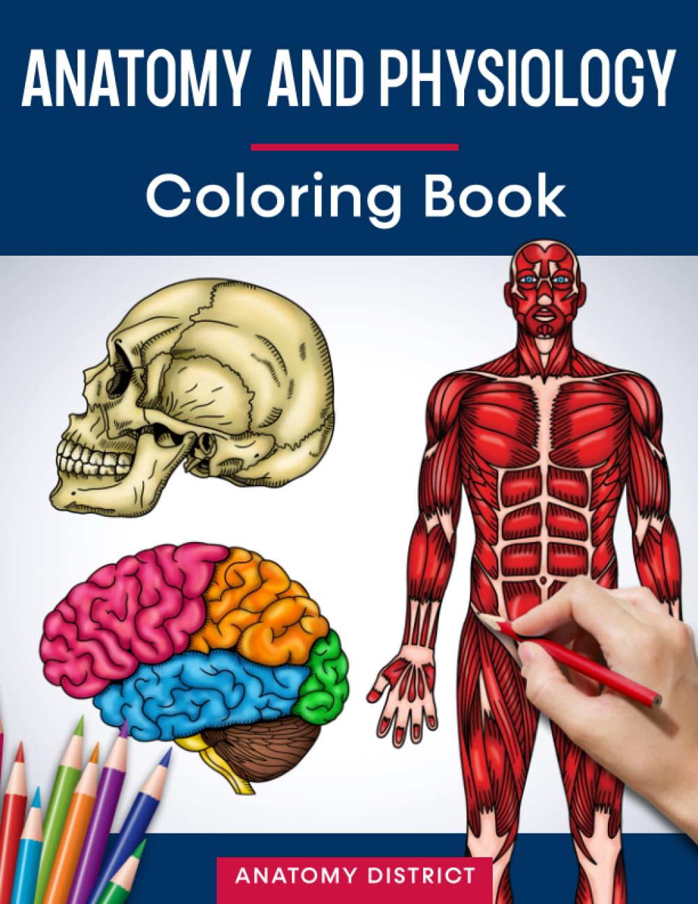 Amazon.com: Anatomy and Physiology Coloring Book: Incredibly Detailed ...
