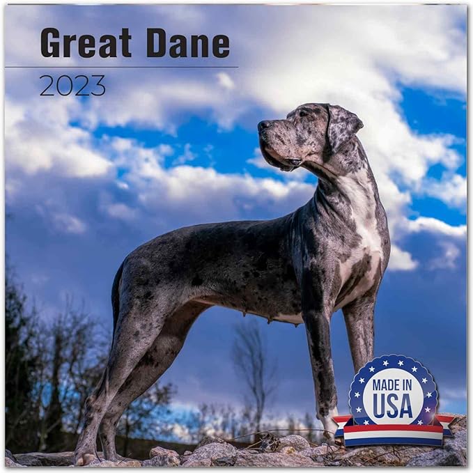 2022 2023 Great Dane Calendar - Dog Breed Monthly Wall Calendar - 12 x ...