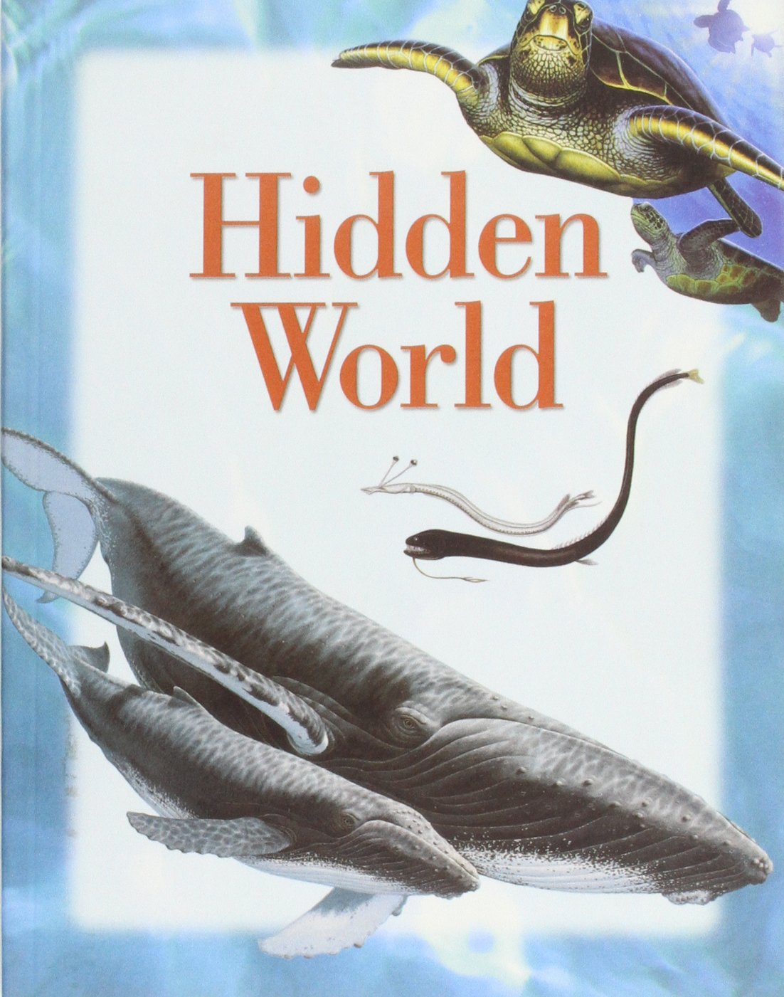 Hidden World: Set Three (Explorers): Dalgleish, Sharon: 9780769905273 ...