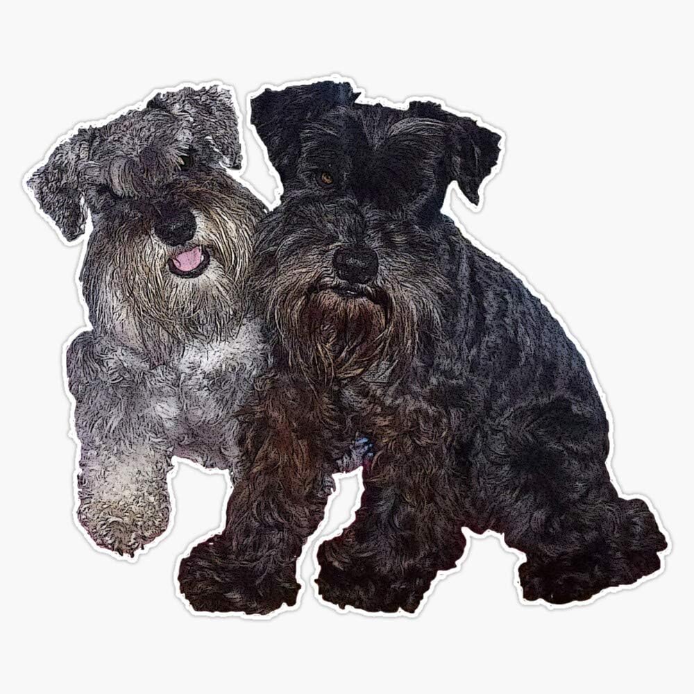 Amazon.com: Miniature Schnauzer Buddies Vinyl Waterproof Sticker Decal ...