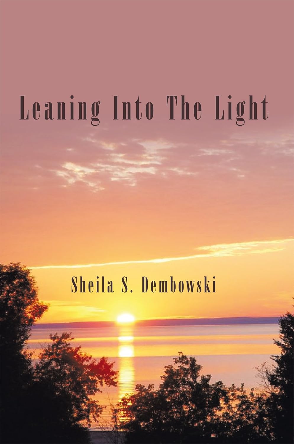 Amazon.com: Leaning into the Light eBook : Dembowski, Sheila S.: Kindle Store