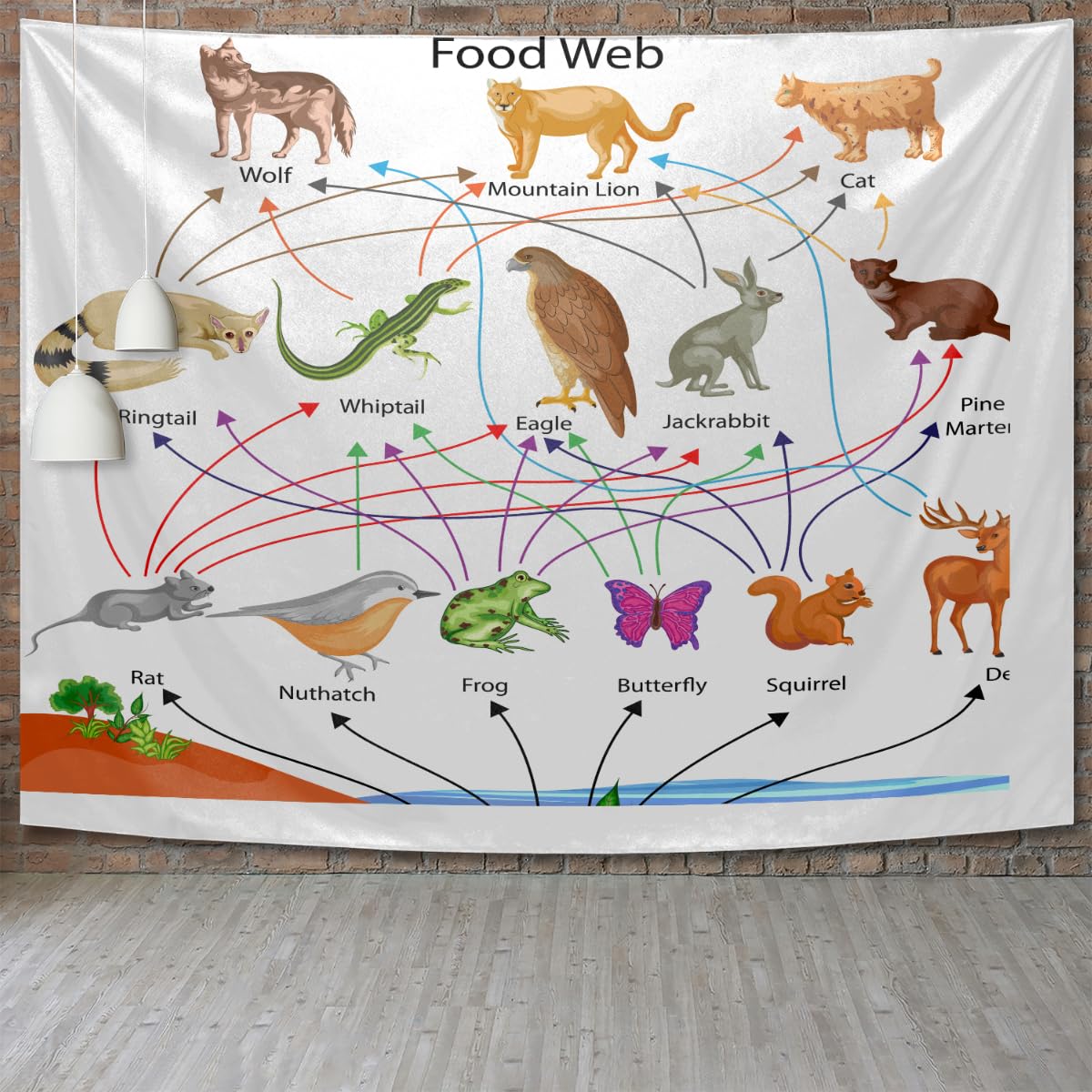 Food Web Labeled