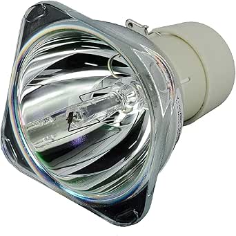 Amazon.com: SIMPLLAMP (NP30LP) Original Projector Bare Bulb-3000 Hour(s ...