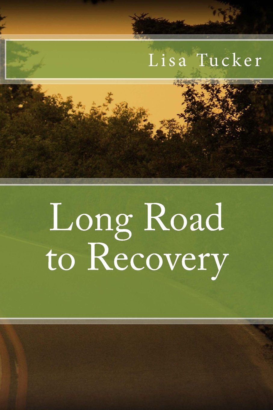Long Road to Recovery: Tucker, Lisa Tarpley: 9780692785300: Amazon.com ...