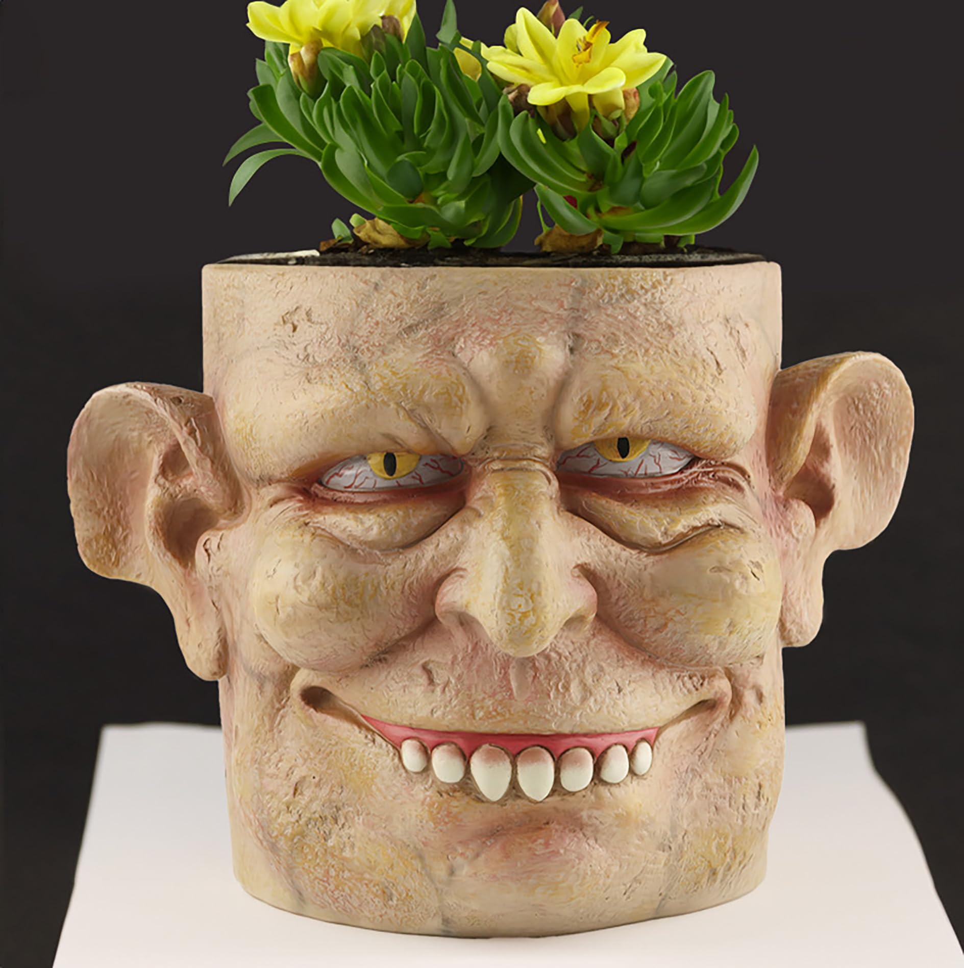Amazon.com : Resin Face Planter Flower Pots Scary Funny Ghost Clown ...