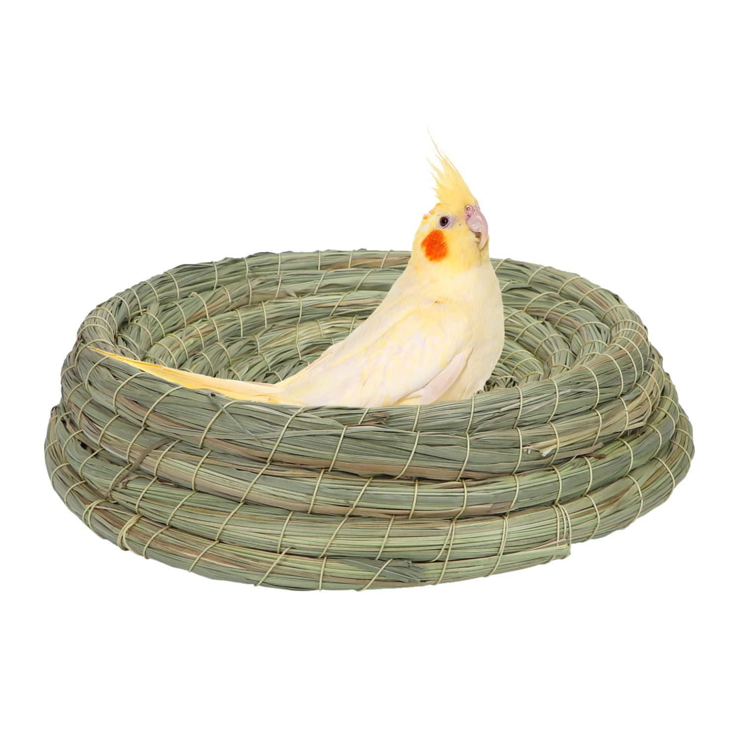 10 Best Pigeon Bird Beds for a Comfortable Roosting Experience ...